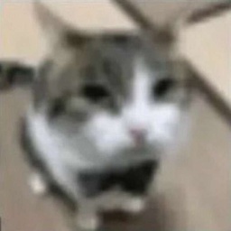 Meow x3 | Thunderstore - The Lethal Company Mod Database