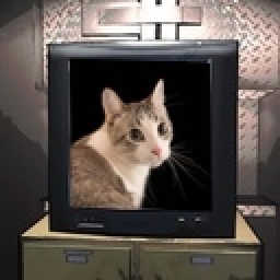 A bunch of random tv videos | Thunderstore - The Lethal Company Mod ...