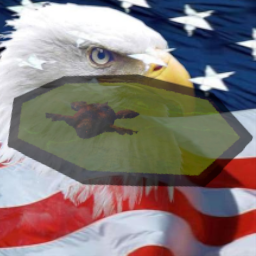 Make Toad Soup Great Again | Thunderstore - The Mage Arena Mod Database