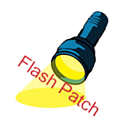 Flash Patch | Thunderstore - The R.E.P.O. Mod Database