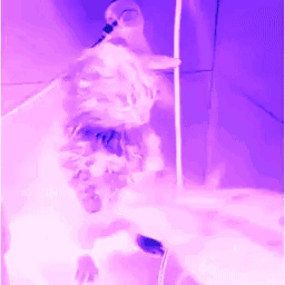 compy version history | Thunderstore - The Lethal Company Mod Database