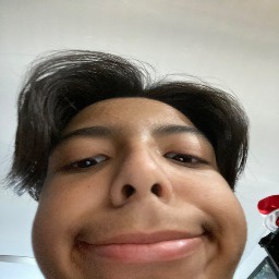 Skibidi Rizz Suit | Thunderstore - The Lethal Company Mod Database